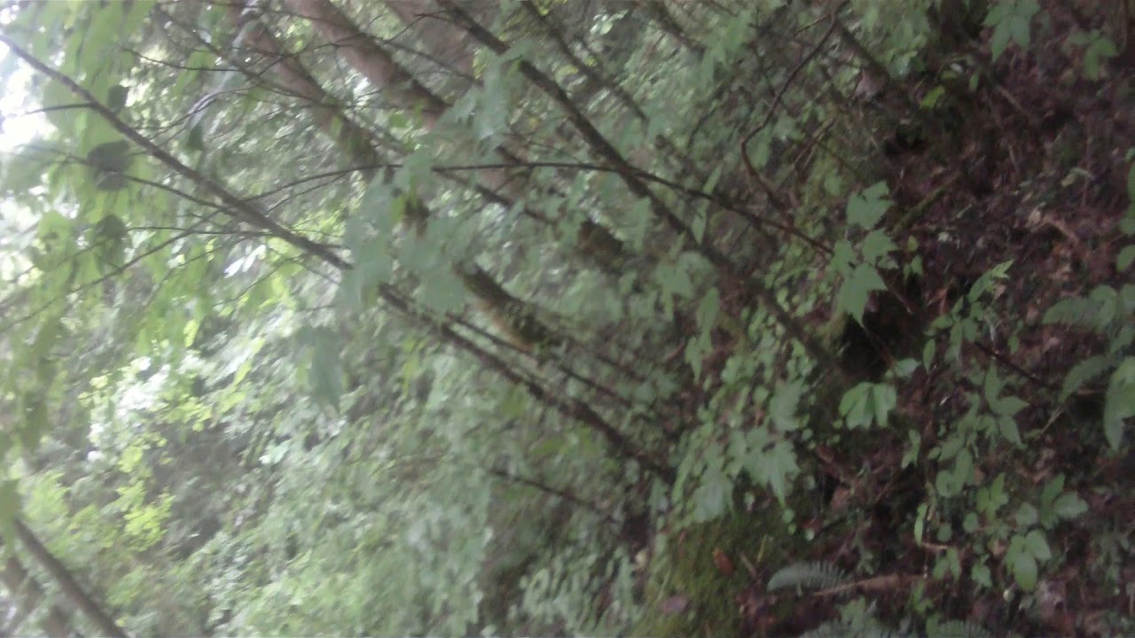 Kentucky Adventure Tour KAT motorcycle Hard 5 (part 5) - YouTube