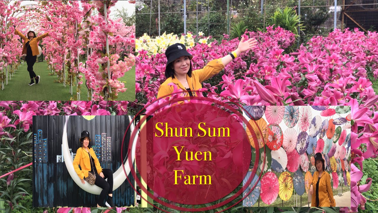 Shun Sum Yuen Farm In Yuen long//How to get there?//Babylyn Nable - YouTube