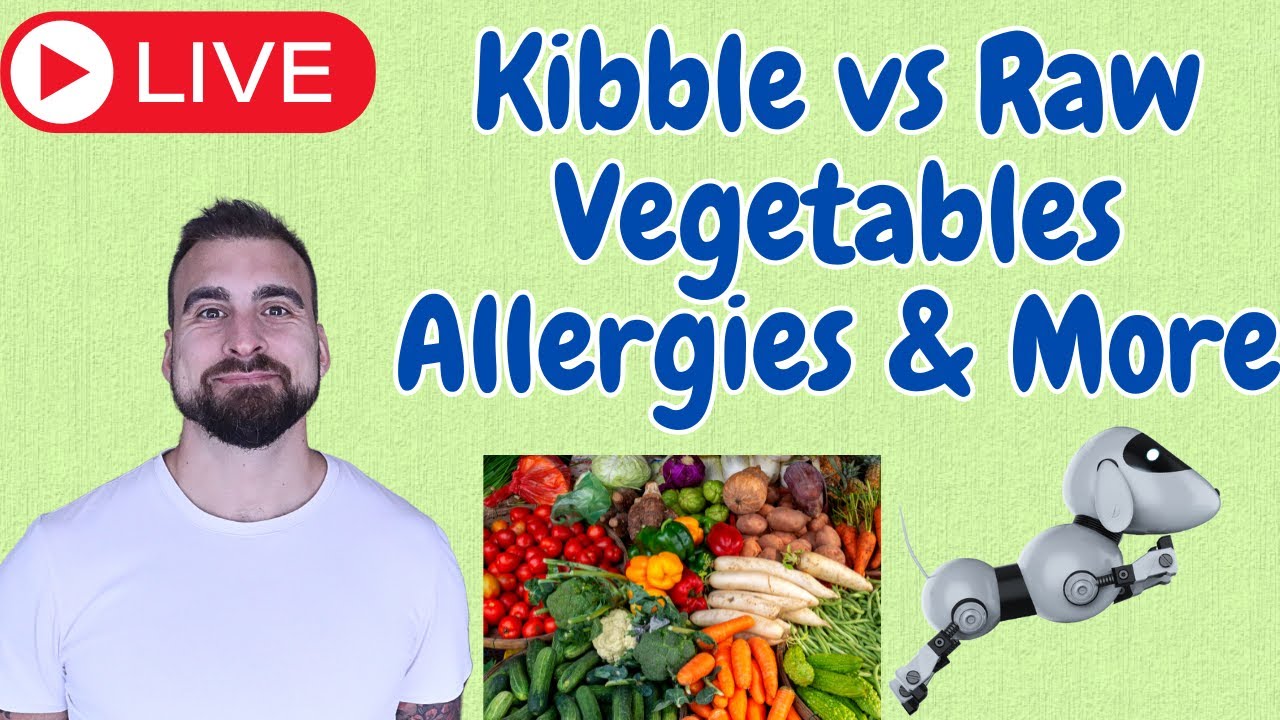 Q&A: Dog Obesity, Kibble vs Raw, Feeding Veggies to Dogs? and Artificial Intelligence! - YouTube