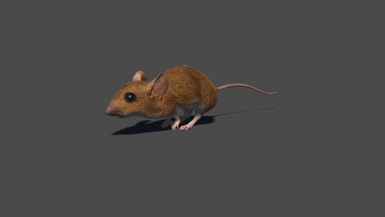 Mouse Unity YouTube mouse-unity-youtube