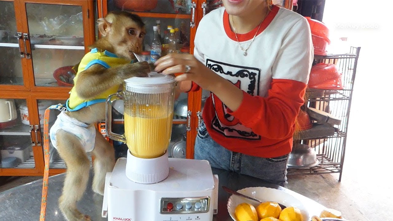 Dodo Super Hungry Can't Wait Mango Milk Shake - YouTube