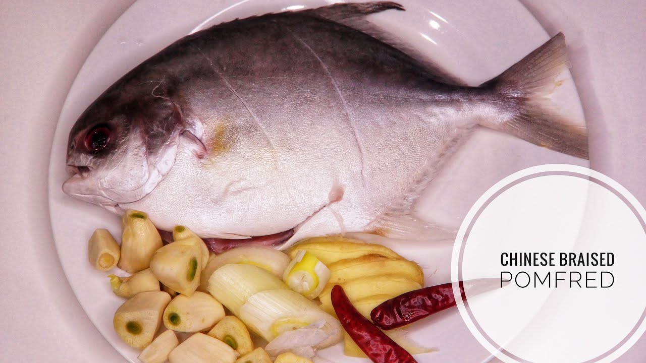 Chinese Style Braised Pomfret Recipe - YouTube