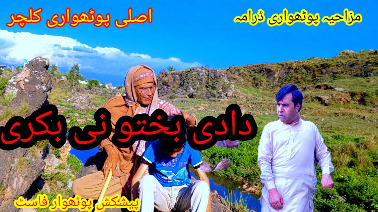 |new Episod|Dadi Bakhtoo | Pothowari Drama |dadi bkhtoo ni bkri |asif ...