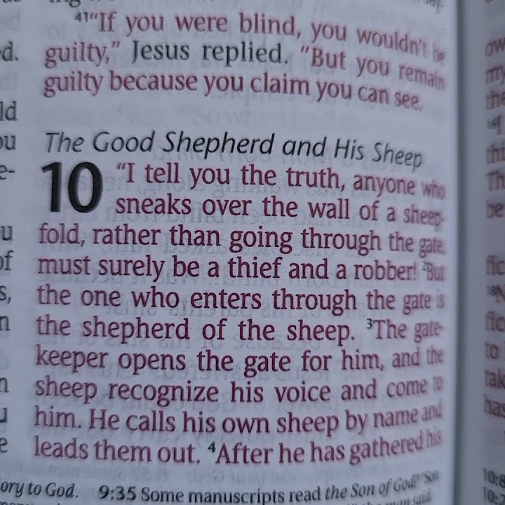 John 10 1 5 NLT shepherd gate YouTube john-10-1-5-nlt-shepherd-gate-youtube