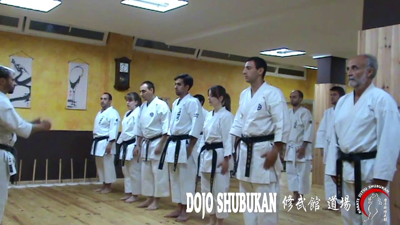 100 Katas para el día mundial del Karate (100 Sanchin Kata Sanchin 三進 ...