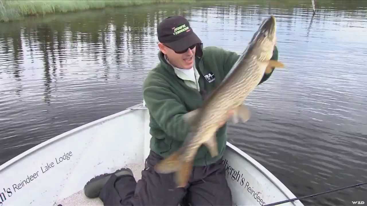 Pike Fishing on Reindeer Lake - YouTube