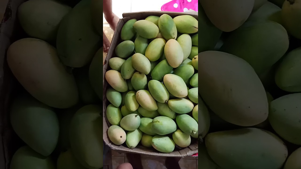Mangga De Cebu (Located) Mandaue City Cebu - YouTube