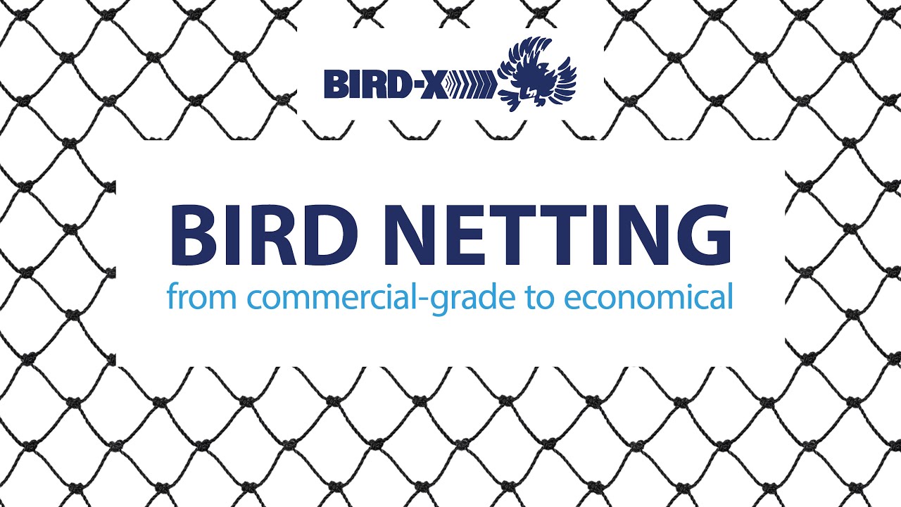Bird Netting Solutions: Professional-Grade to Economical - YouTube