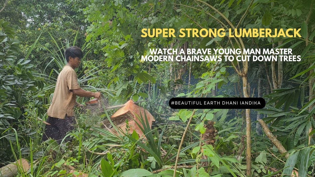 Super Strong Lumberjack: Watch a Brave Young Man Master Modern ...