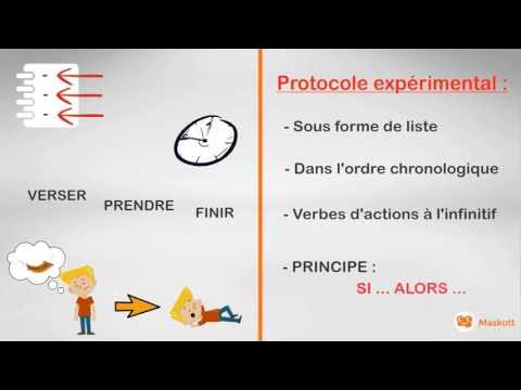 Rédiger un protocole expérimental en chimie Maskott - YouTube