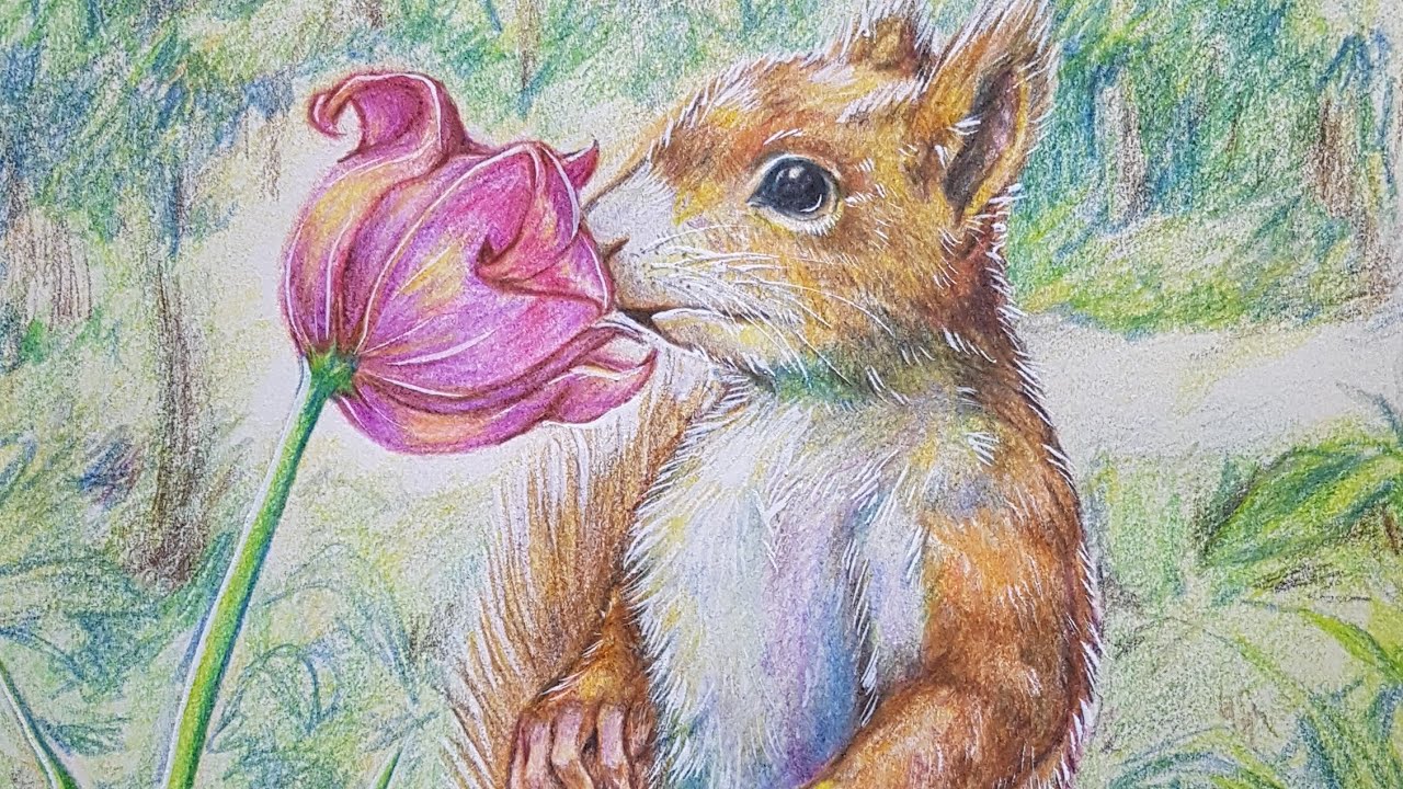 colored pencil 손그림 색연필 그림 다람쥐 그리기 drawing squirrel - YouTube