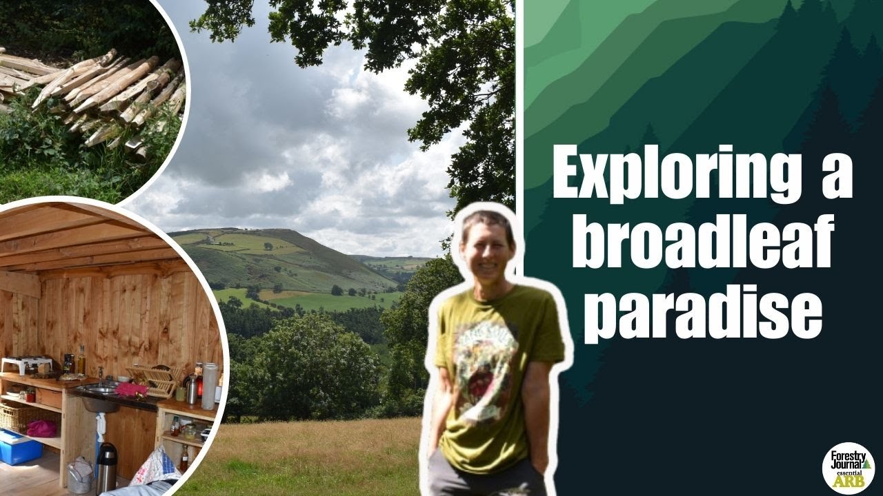 How this farm was transformed into productive broadleaf plantation ...