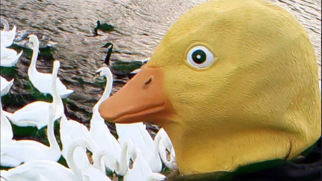 TERROR DUCK | Short Horror Film | Clem’s Horror Fest 2022 - YouTube