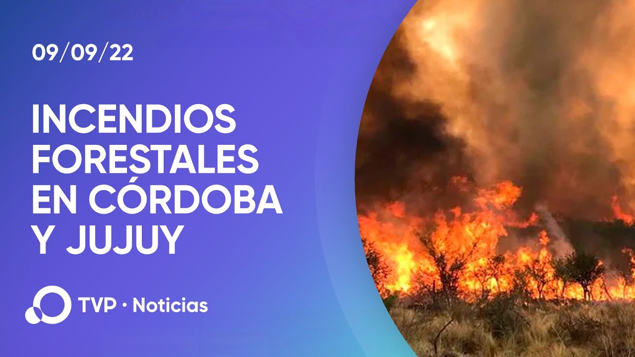 Más Incendios Forestales En Córdoba Y Jujuy Youtube