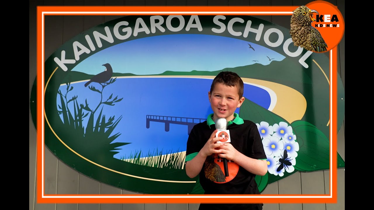 Kea Kids News: What’s it like to go to one of the most remote schools ...