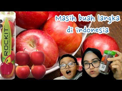 APEL ROCKIT NEW ZEALAND - YouTube