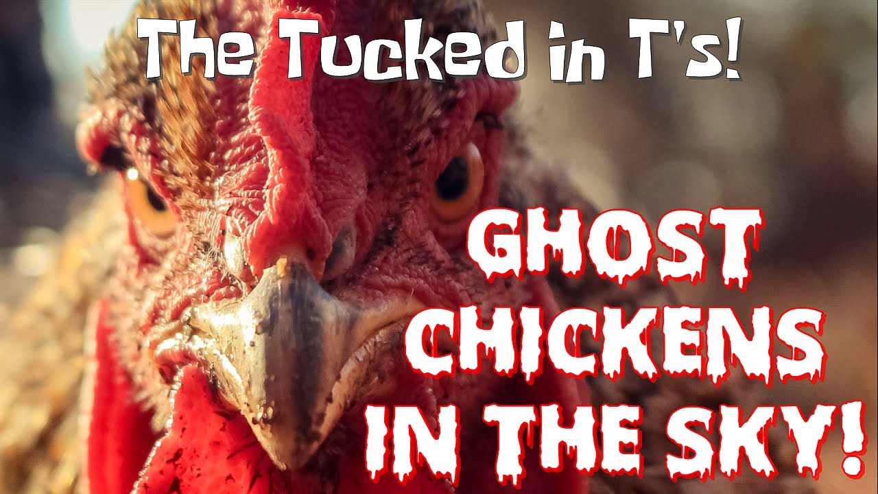 GHOST CHICKENS in the SKY - The Tucked in T's! - YouTube