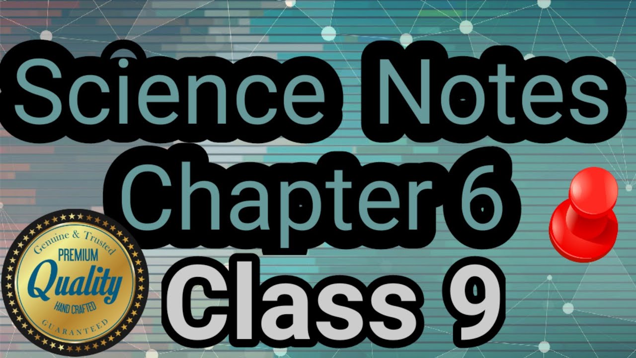 Chapter 6 | Science Notes Class 9 | Classification of Plants ...