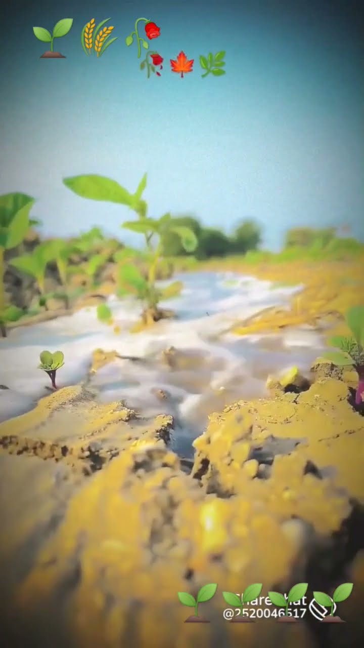 May 19, 2024 - YouTube