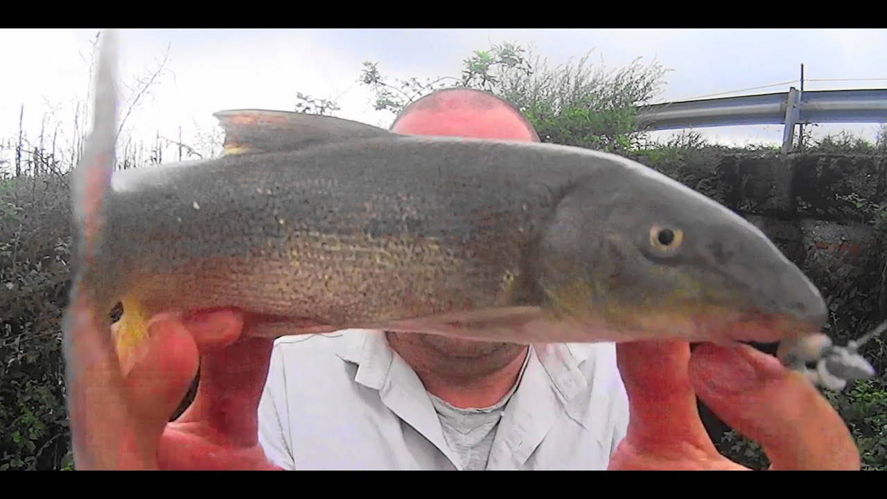 Gomming al limite - YouTube