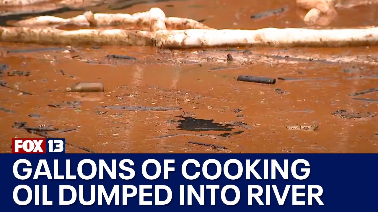 Hundreds of gallons of cooking oil dumped into Black River | FOX 13 ...