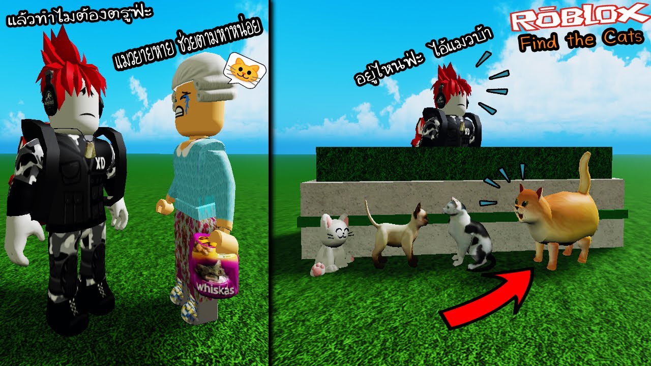 Where Is All The Cats In Find The Cats Roblox at Dennis Raleigh blog