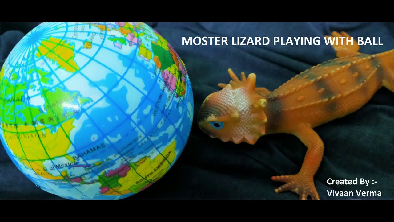 Lizard Playing with Ball, baby , Toy , Play , Mostar Lizard, Ball ...