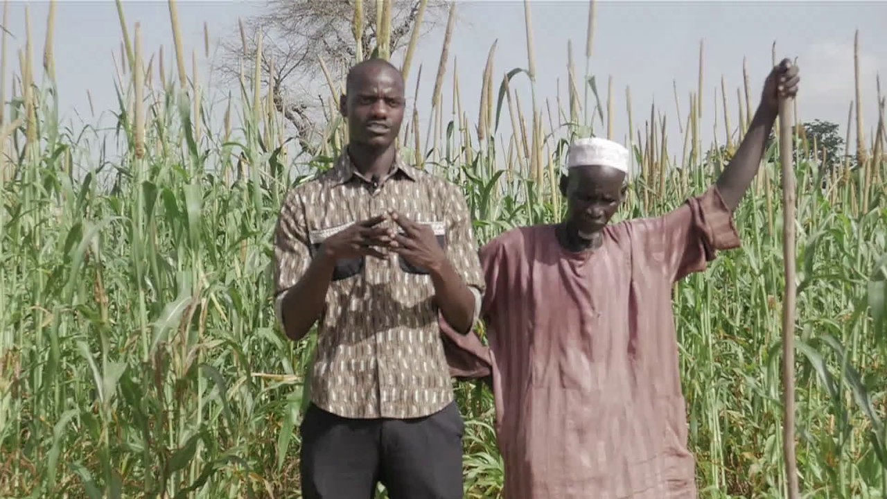 Filiere Mil Sénégal Coopération décentralisée Région Occitanie (version ...