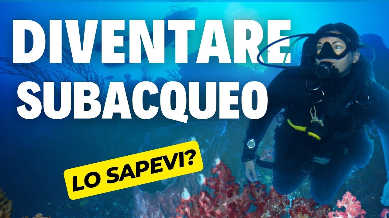 Imparare a fare Immersioni subacquee nel 2024 - 7 cose che devi sapere ...