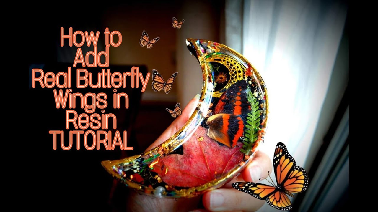 Resin | How to Preserve Real Butterfly Wings in Resin TUTORIAL ...