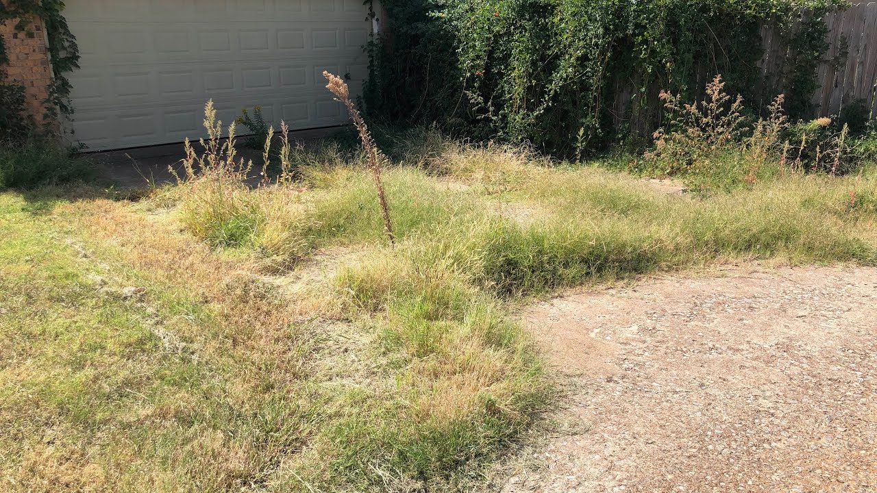 Real time TRANSFORMATION of OVERGROWN DRIVEWAY - YouTube