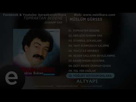 TURKCE ALTYAPI YOGURT KOYDUM DOLABA MUSLUM GURSES