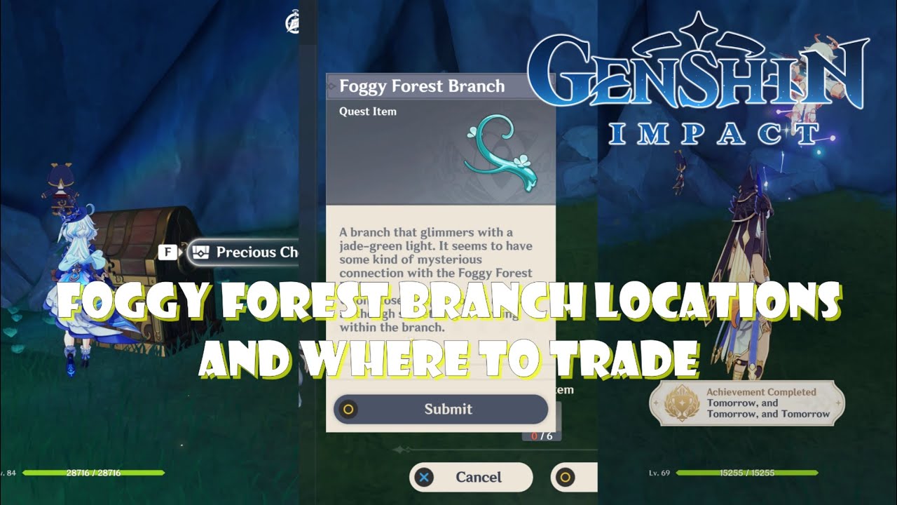 Foggy Forest Branch Locations and hidden Pahsiv trade shop ...