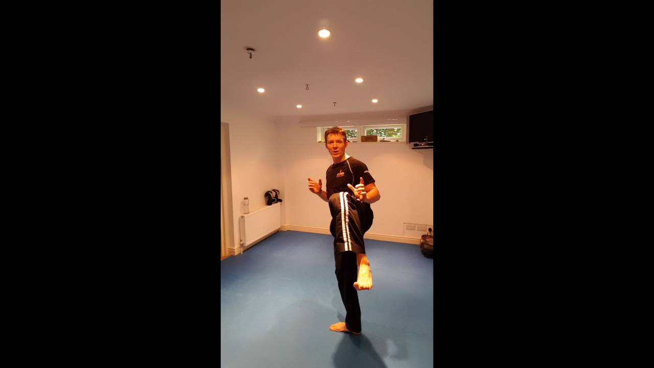 How to perform the perfect Round Kick (Turning Kick) (Round House Kick ...