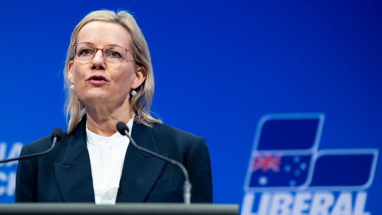 ‘Multiple fronts’ in which Liberal Party needs to ‘lift its game’ - YouTube