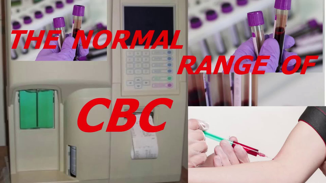 CBC Normal Values YouTube cbc-normal-values-youtube