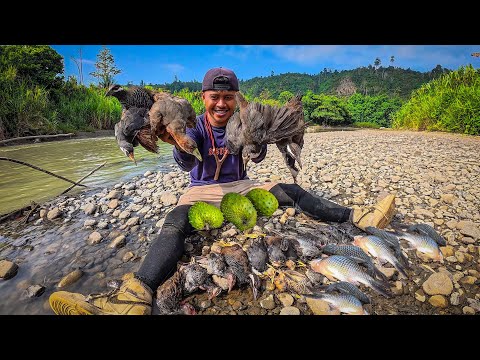 5 hari berburu 20 burung dimasak RENDANG dimusim kemarau panjang & bermalam dirumah pohon! #kookiko 