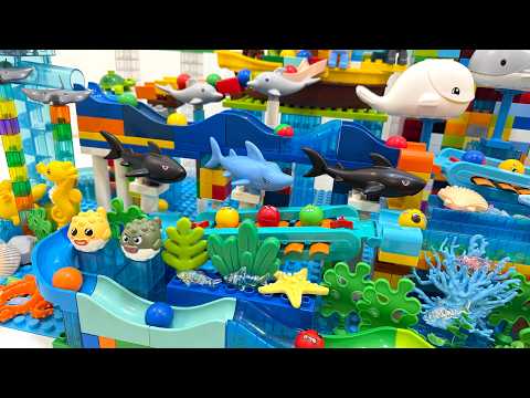 🦈 GIANT LEGO DUPLO MARBLE RUN! Shark & Dolphin Ocean Adventure! 🐬🌊