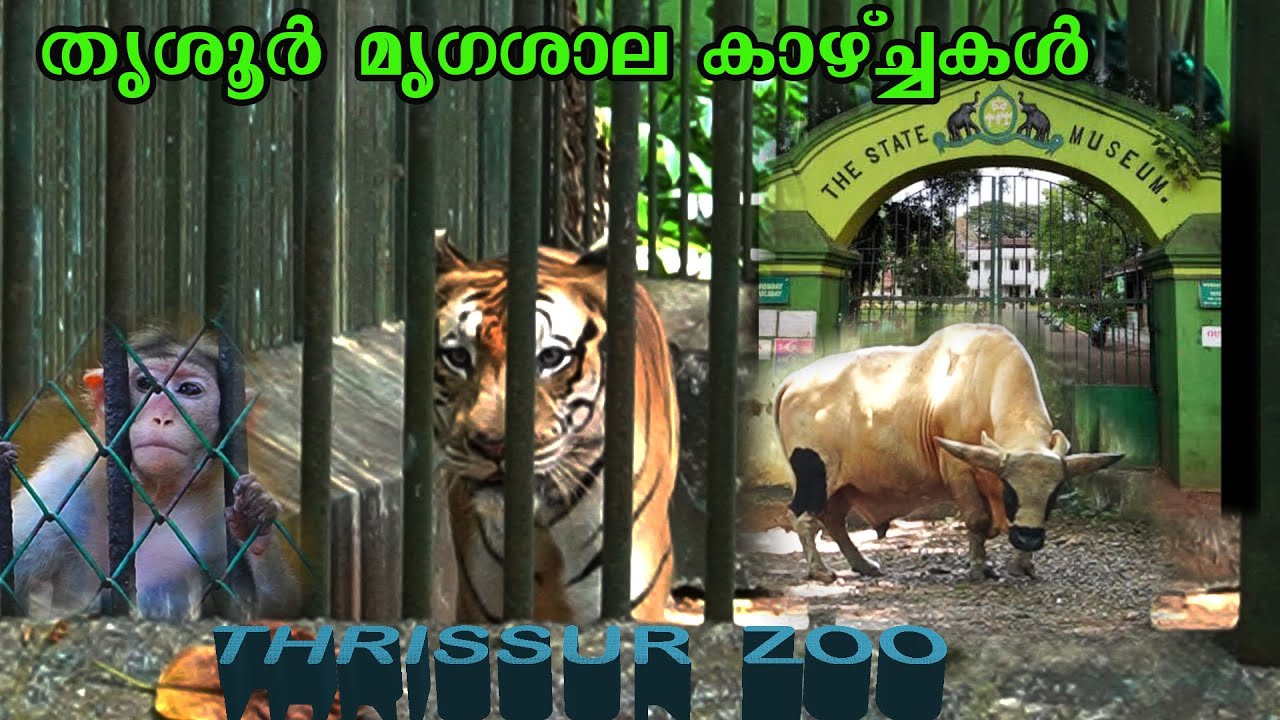 THRISSUR ZOO | തൃശൂർ മൃഗശാല | - YouTube