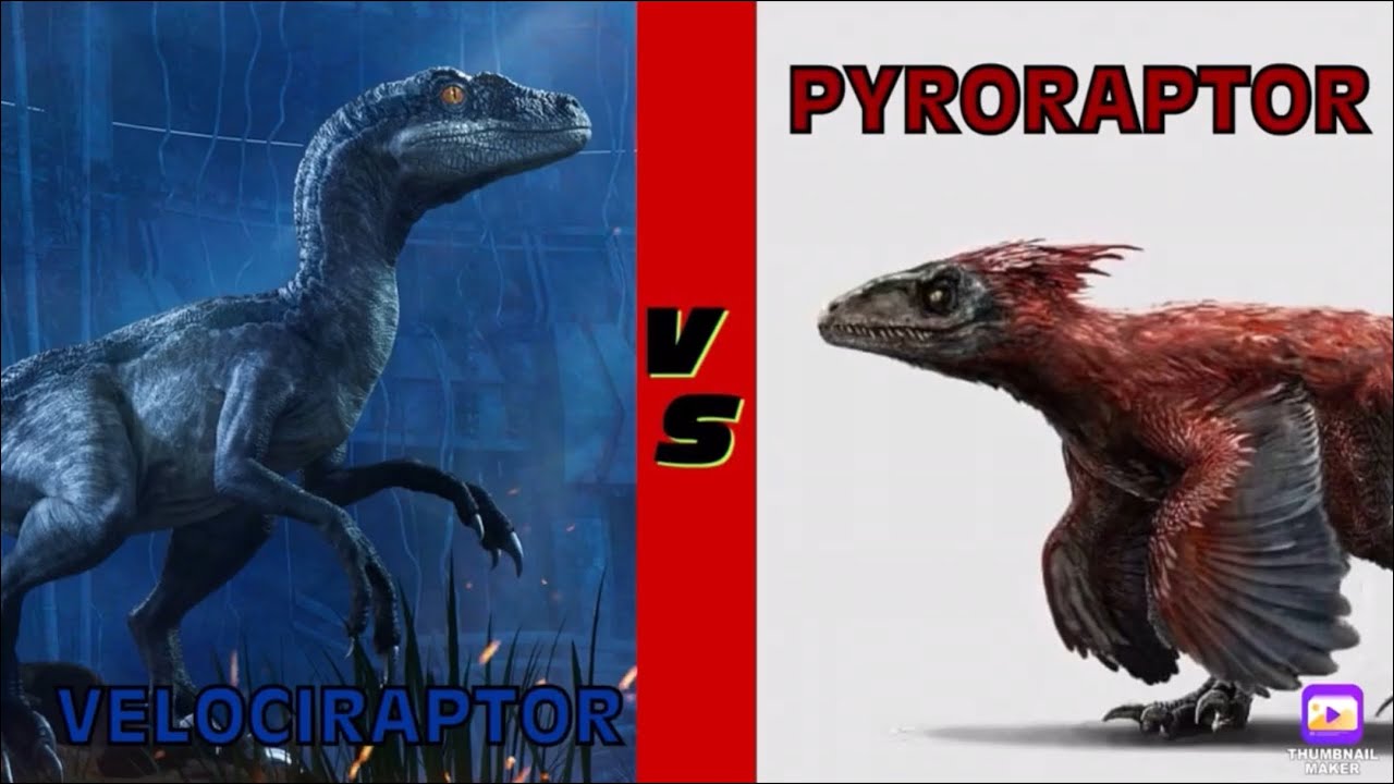 Velociraptor vs Pyroraptor | Dinosaur Battle Arena [S1E8] - YouTube