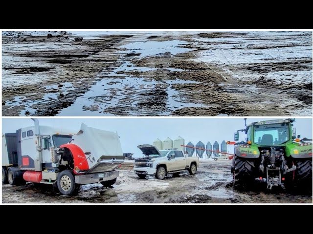 Spring has Sprung?! 🤔😆 | Mike Mitchell | The Content Farm