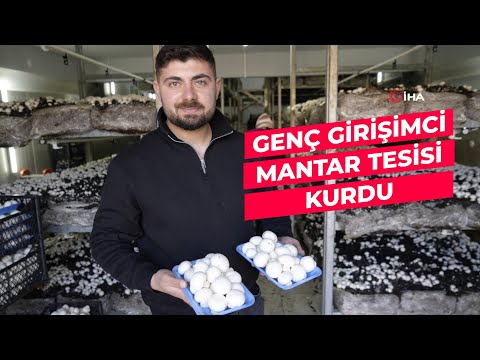 Genç girişimci mantar üretim tesisiyle kentin mantar ihtiyacını karşılıyor