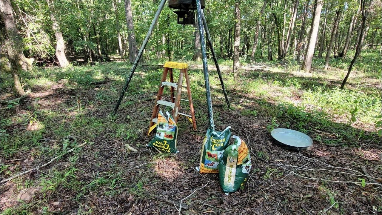 Deer feeder start up with kids😎 #deerhunting - YouTube
