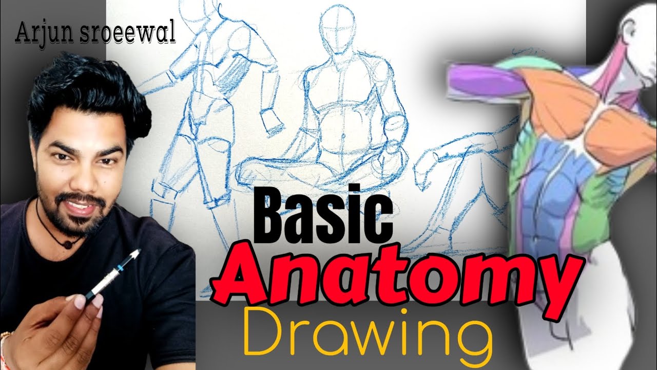 Basic anatomy Drawing || how to draw figure drawing|| figure drawing tutorial for beginners ...