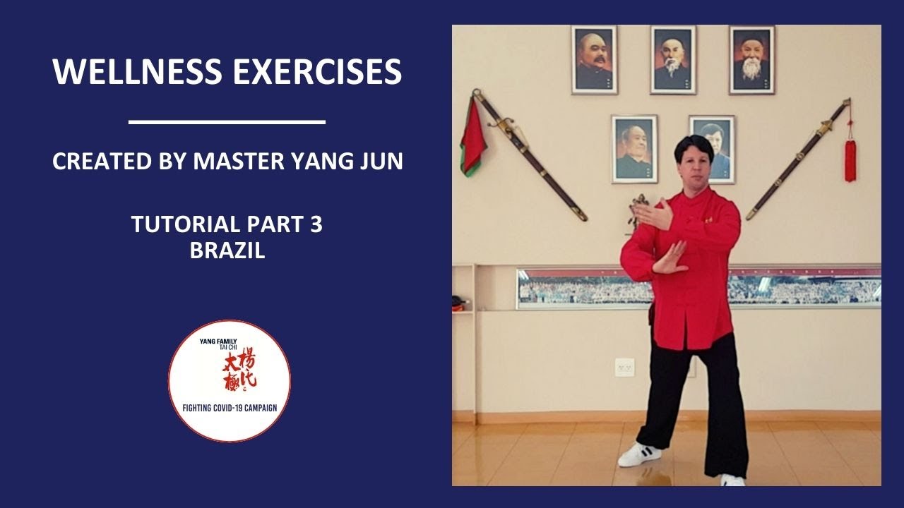 Wellness Exercises Tutorial Part 3 / Brazil - YouTube