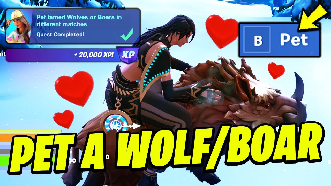 How to EASILY Pet tamed Wolves or Boars in Different Matches - Fortnite ...