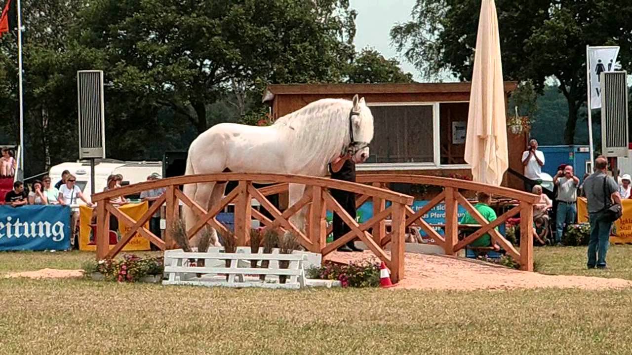 Tamme Hanken mit Jumper in Tarmstedt - YouTube