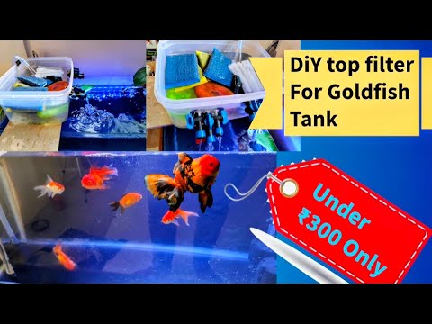 Build This DIY Goldfish Filter & Fix Cloudy Water FAST (3-Minute Guide ...