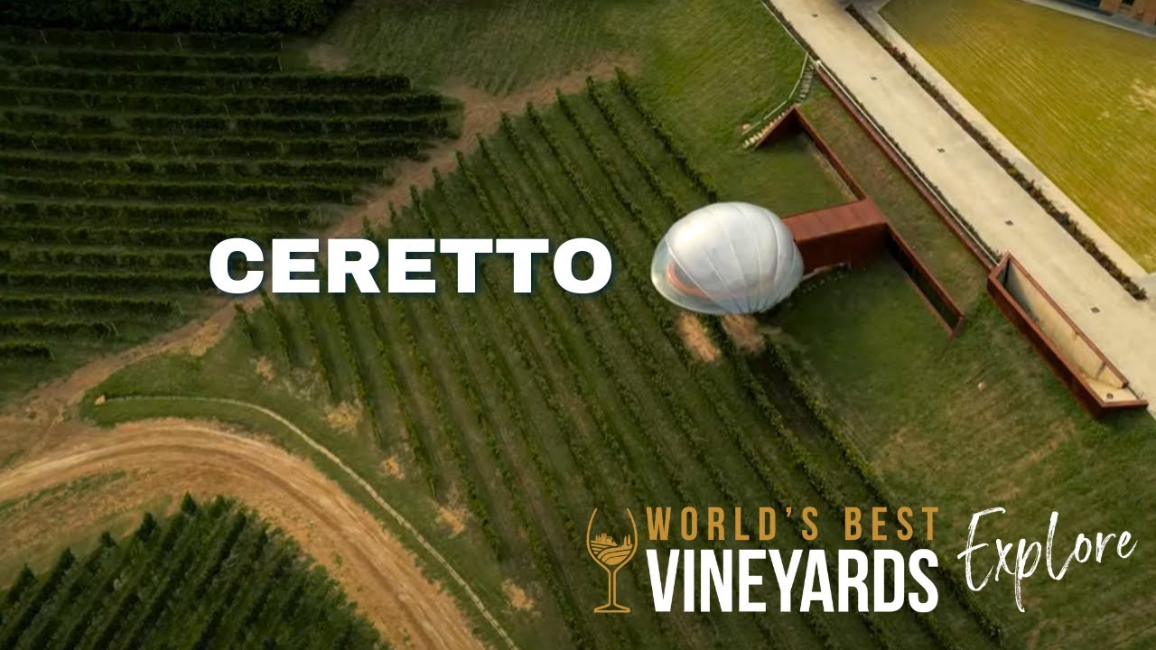 Ceretto Winery: Discovering Langhe's Rich Heritage Through Wine and ...