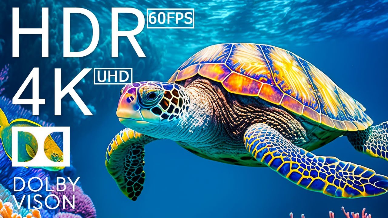 4K HDR 120fps Dolby Vision with Animal Sounds (Colorfully Dynamic) #77 ...